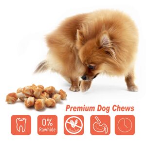 LuvChew Chicken Dog Chew Bones Medium, Rawhide Free, Grain Free, Made with Real Chicken & Wholesome Vegetables, Knotted Bones Medium 5pcs/Pack