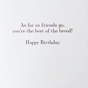 Greeting Card As Far As Friends Go - You're The Best of The Breed! Happy Birthday with Bichon Frise Dog (Friendship)