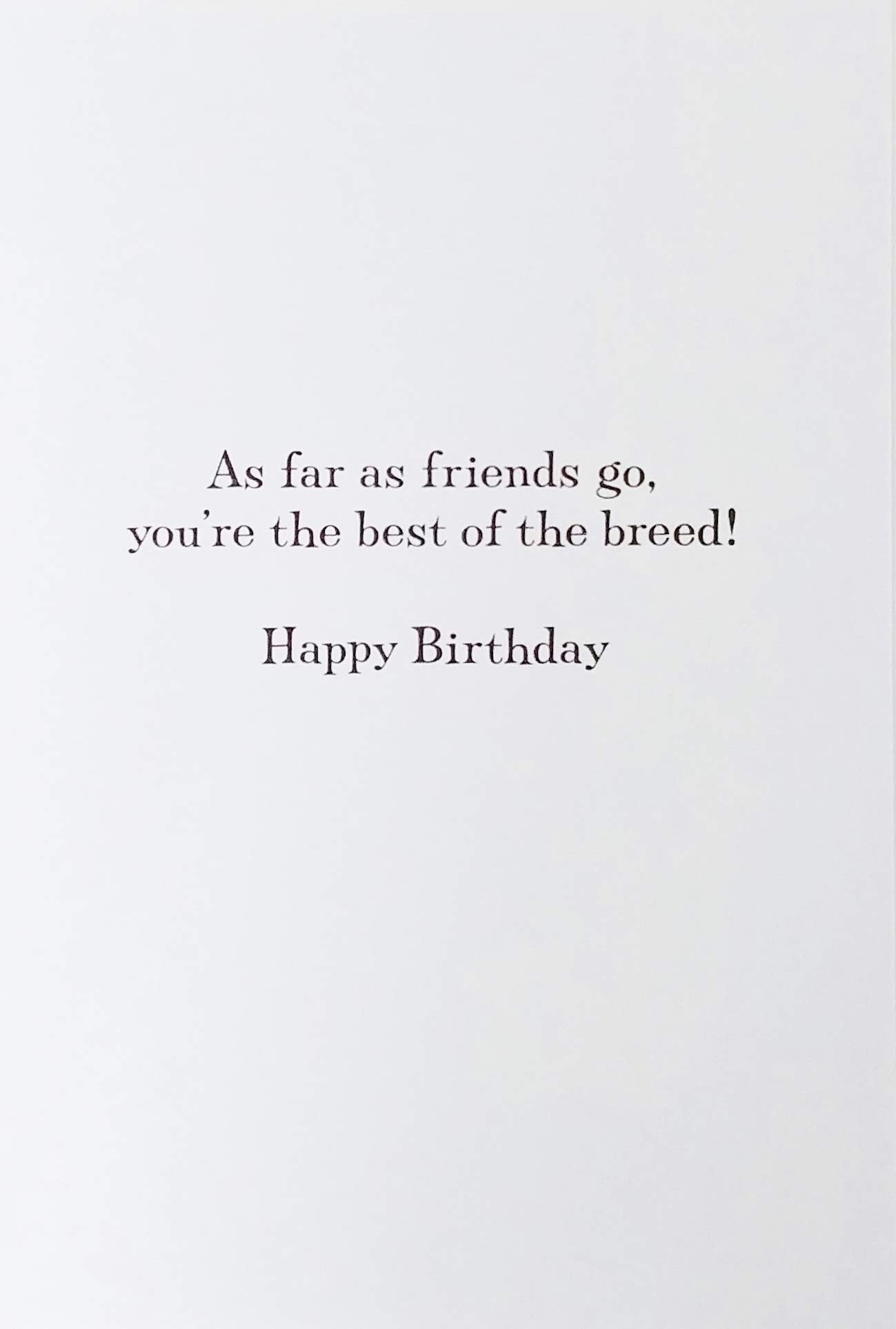 Greeting Card As Far As Friends Go - You're The Best of The Breed! Happy Birthday with Bichon Frise Dog (Friendship)