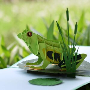 CUTPOPUP Birthday Card Pop Up, 3D Greeting Card (Frog)