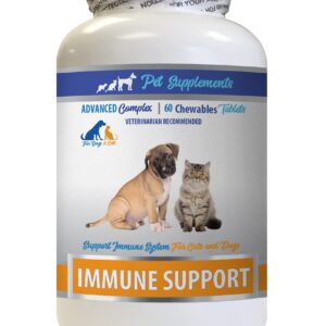 cat Allergy Protection - PET Immune Support - for Dogs and Cats ONLY - Natural - VETS Choice - Licorice Root for Cats - 60 Treats (1 Bottle)