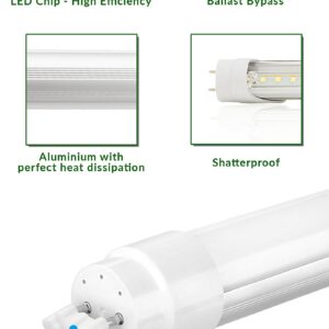 Alpha T8 T10 T12 LED Light Bulbs Clear or Frosted Lens 4FT 18W 6000K-6500K Cool White Bright Dual End Replacement 40W 4 FT Fluorescent Lamp Ballast Bypass Home Office Shop Pack of 4 (Clear Lens)