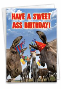 nobleworks - 1 happy birthday card with funny animals - wildlife and pet humor, fun birthday celebration notecard - sweet a-s c7191bdg