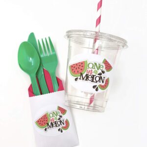 One in a Melon Cups - Watermelon 1st First Birthday Party Supplies and Favors