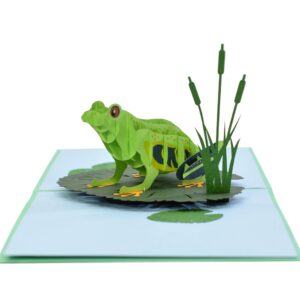 CUTPOPUP Birthday Card Pop Up, 3D Greeting Card (Frog)