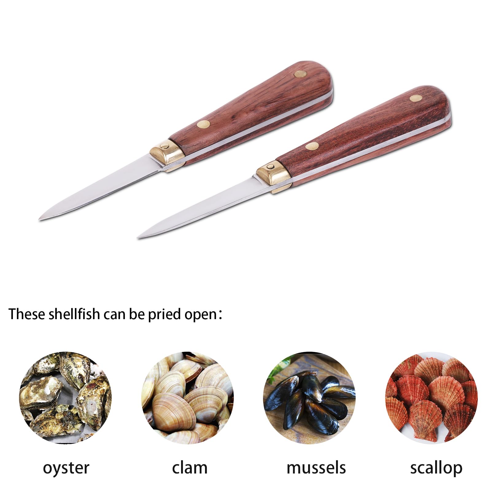 SPEENSUN Oyster Shucking Knife, Oyster Knife, Shucking Knife Not Easy to Break and Bend, More Secure with Oyster Shucking Knife and Gloves (2 Knife and 1 Glove L), Best Oyster Shucking Set