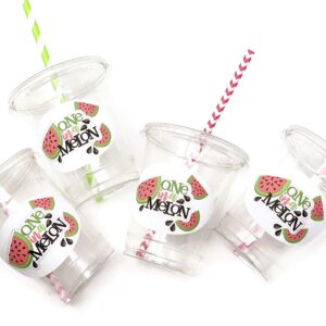 One in a Melon Cups - Watermelon 1st First Birthday Party Supplies and Favors