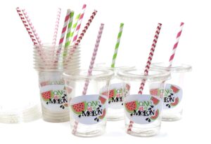 one in a melon cups - watermelon 1st first birthday party supplies and favors