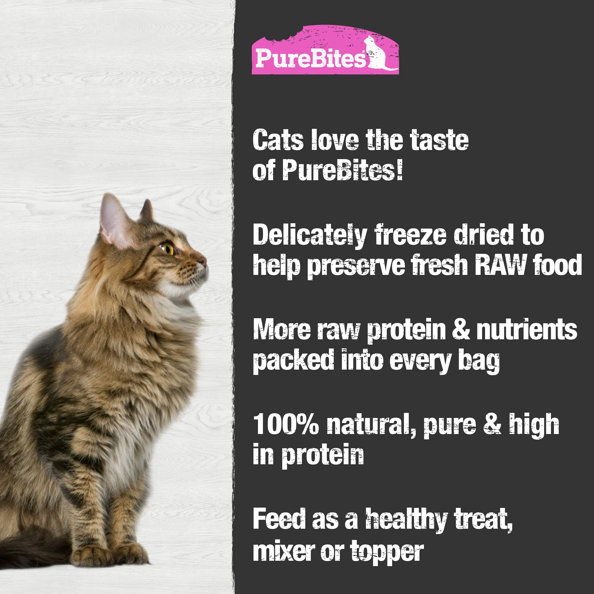 PureBites Freeze Dried Salmon Cat Treats 57g | 1 Ingredient | Made in USA (Packaging May Vary)