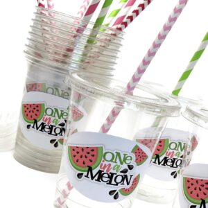 One in a Melon Cups - Watermelon 1st First Birthday Party Supplies and Favors