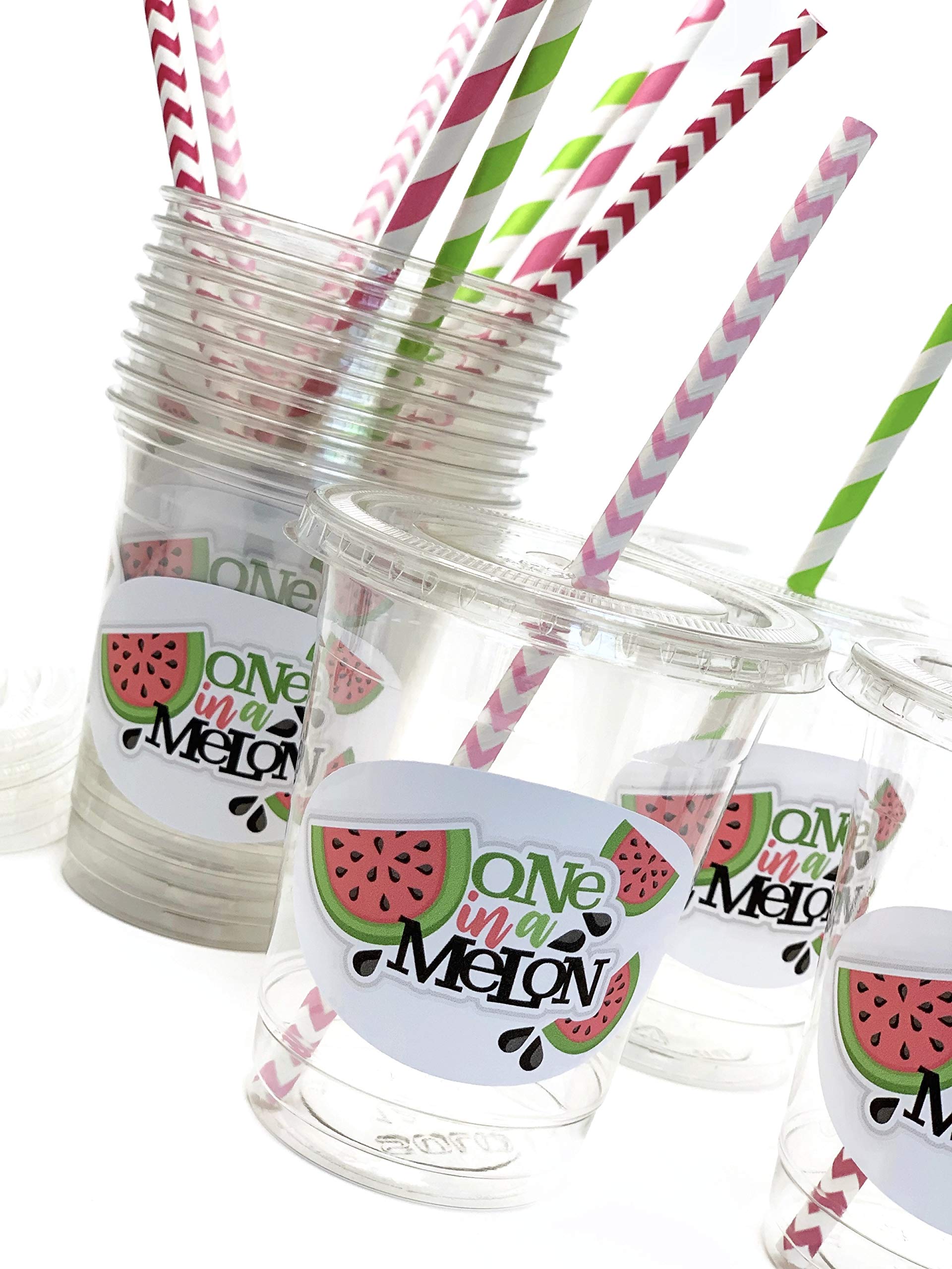 One in a Melon Cups - Watermelon 1st First Birthday Party Supplies and Favors