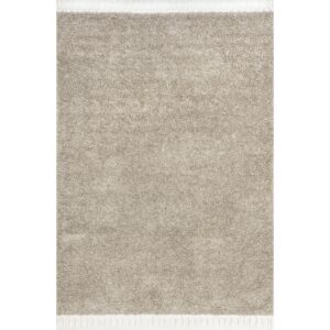 nuLOOM Neva Modern Tasseled Shag Area Rug, 4x6, Beige