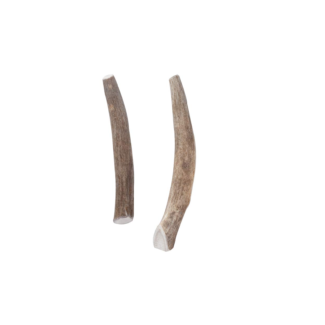 Terrain D.O.G. USA Antler Chews, Two-Pack, Medium