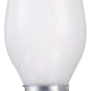 UI PRO TOOLS Night Light Bulb White Pack of 4 (10 Lumens, 5 watts, 120 Volts)