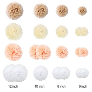 Tissue Paper Pom Poms Paper Flower 22 Pcs Champagne, Ivory, White, Peach for Birthday Bachelorette Wedding Baby Shower Bridal Shower Party Decoration