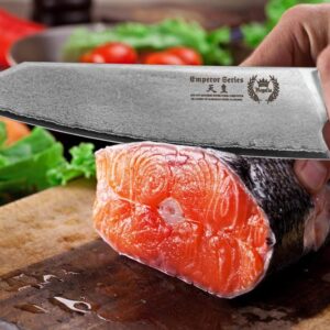 Regalia Kiritsuke Chef Knife: Professional Japanese 8.5 Inch AUS10 Premium High Carbon 67 Layer Damascus Steel Chef’s knives w/G-10 Handle Knives