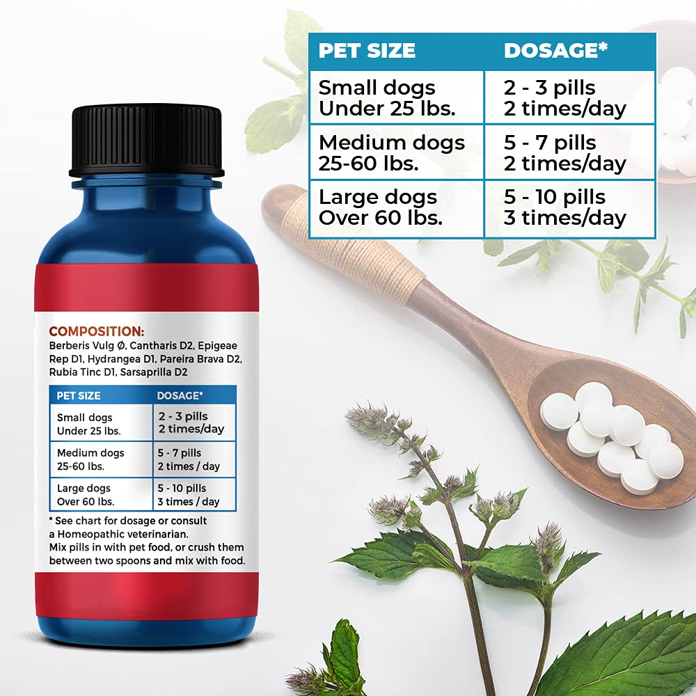 BestLife4Pets Dog UTI Kidney Support - Natural Urinary Tract Infection Treatment – Renal and Bladder Control Supplement – Easy to Use Pills (2 Pack)