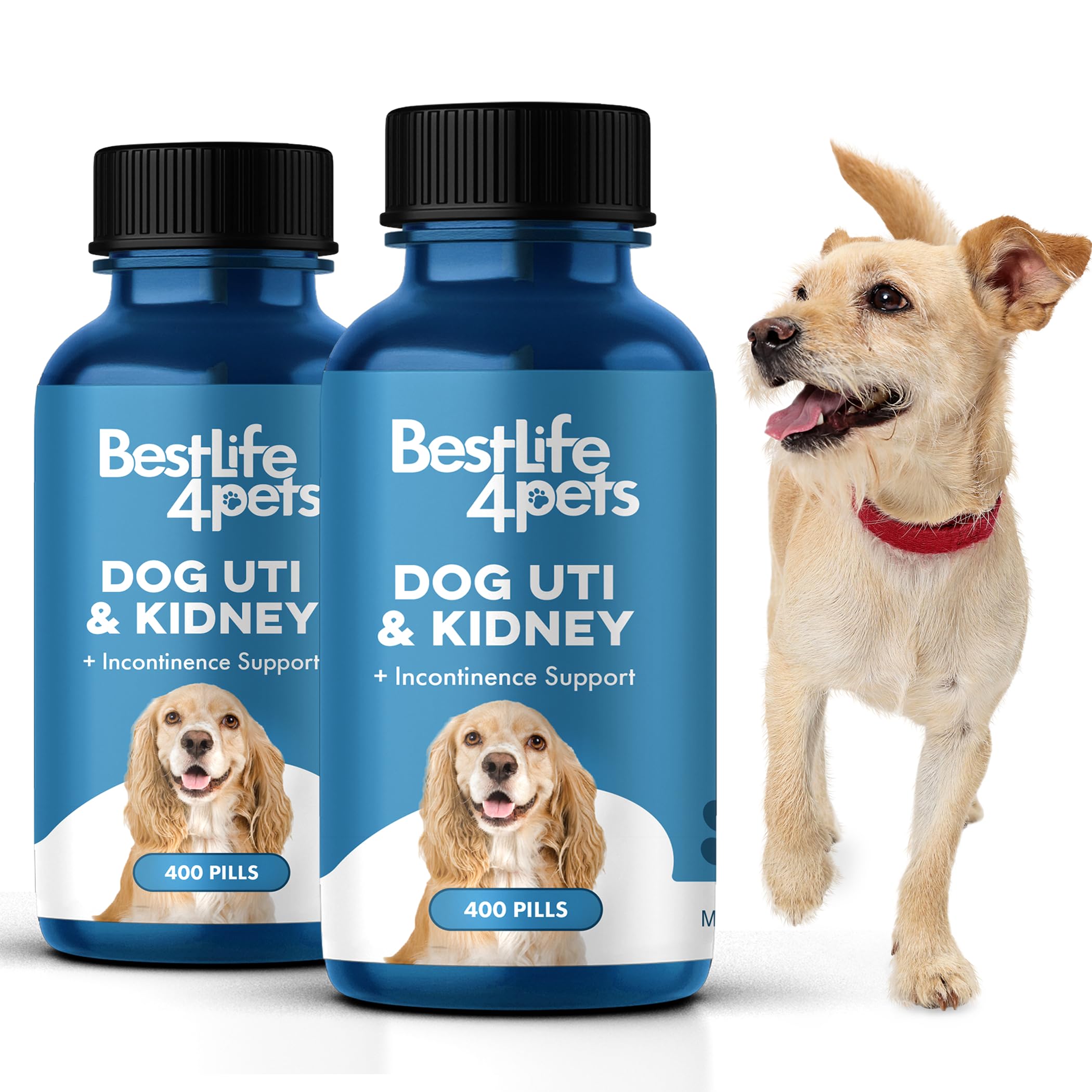 BestLife4Pets Dog UTI Kidney Support - Natural Urinary Tract Infection Treatment – Renal and Bladder Control Supplement – Easy to Use Pills (2 Pack)