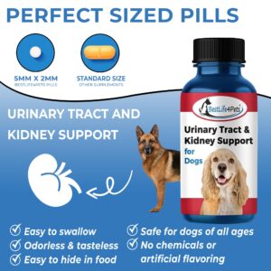 BestLife4Pets Dog UTI Kidney Support - Natural Urinary Tract Infection Treatment – Renal and Bladder Control Supplement – Easy to Use Pills (2 Pack)