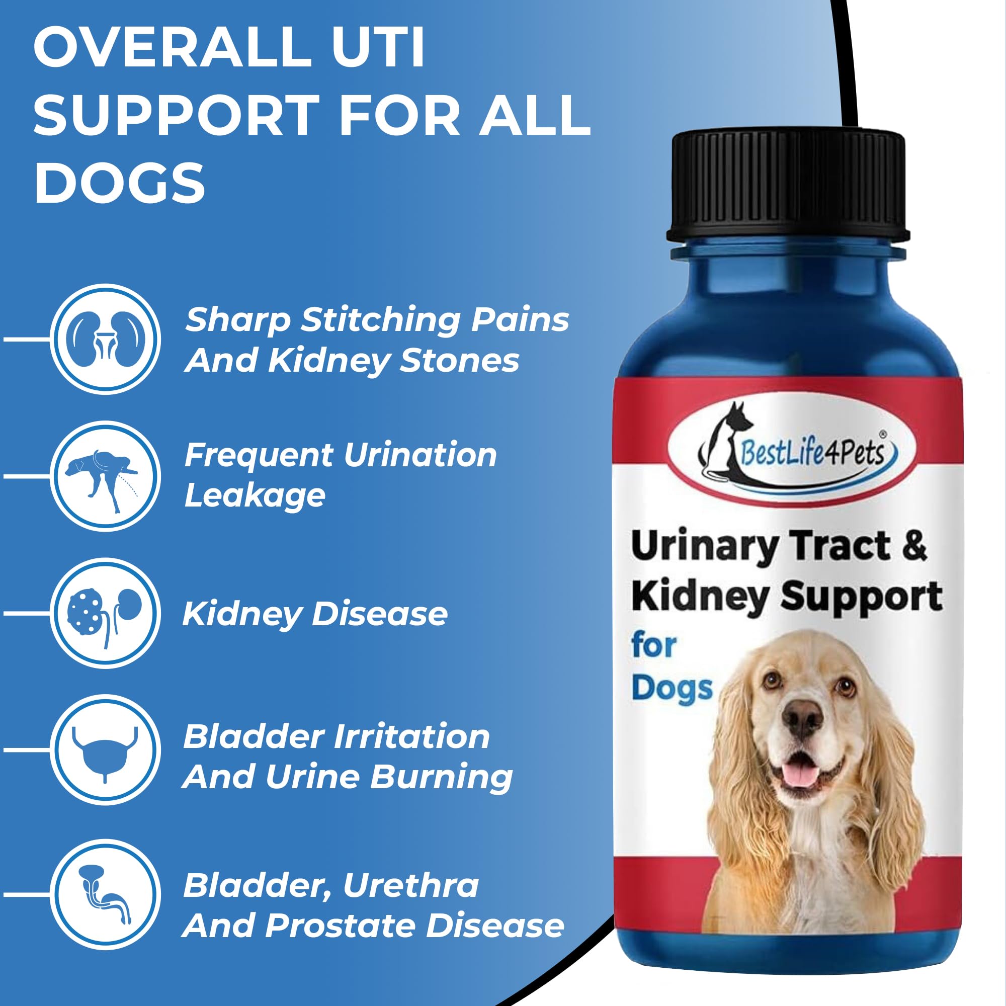 BestLife4Pets Dog UTI Kidney Support - Natural Urinary Tract Infection Treatment – Renal and Bladder Control Supplement – Easy to Use Pills (2 Pack)