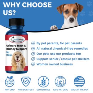 BestLife4Pets Dog UTI Kidney Support - Natural Urinary Tract Infection Treatment – Renal and Bladder Control Supplement – Easy to Use Pills (2 Pack)