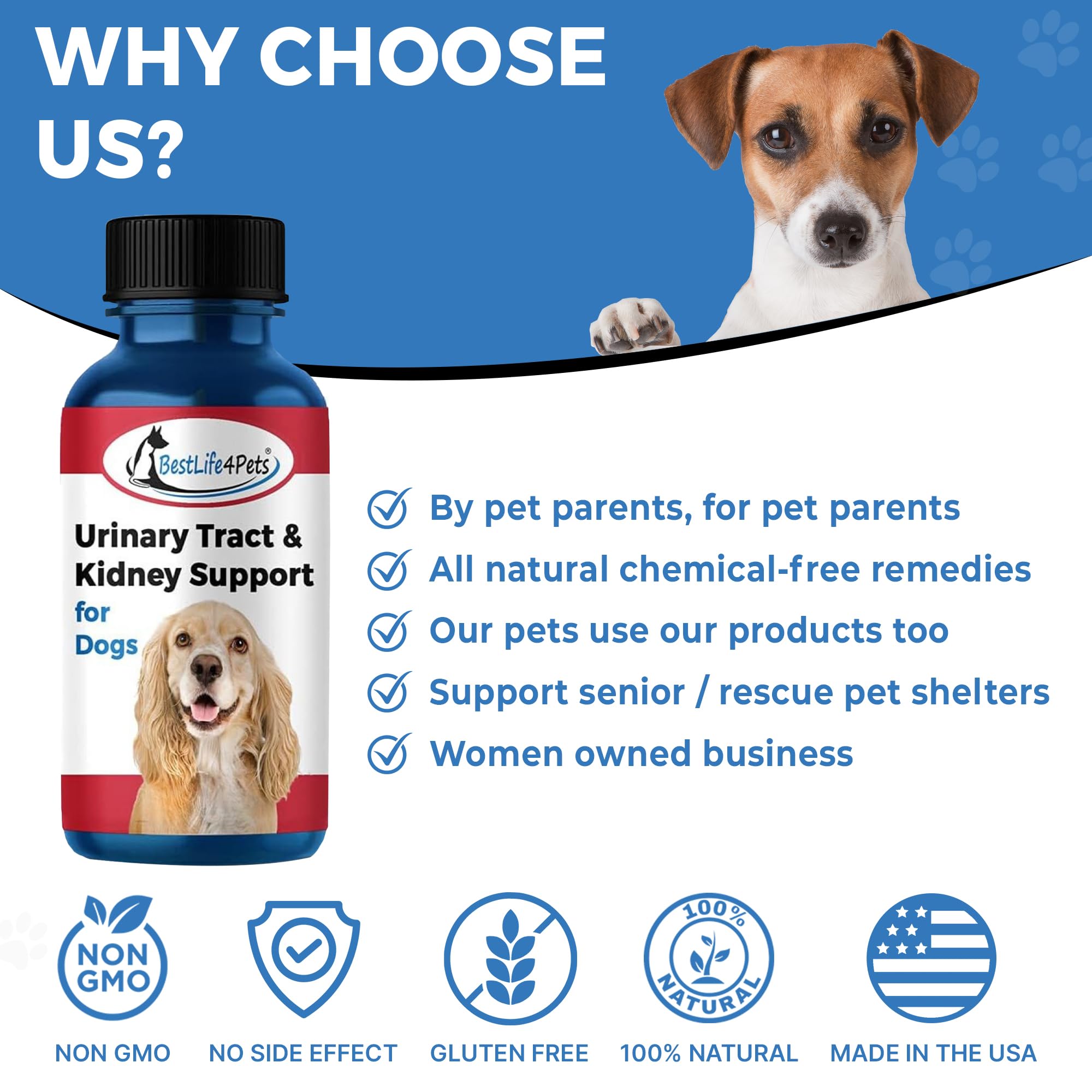 BestLife4Pets Dog UTI Kidney Support - Natural Urinary Tract Infection Treatment – Renal and Bladder Control Supplement – Easy to Use Pills (2 Pack)