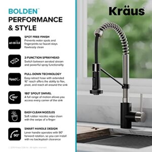 KRAUS Bolden 18-Inch Single Handle Spot Free Stainless Steel/Matte Black Commercial Style Pull-Down Kitchen Faucet with Dual Function Sprayer, KPF-1610SFSMB (Pack of 1)