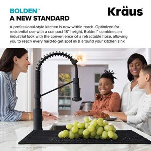 KRAUS Bolden 18-Inch Single Handle Spot Free Stainless Steel/Matte Black Commercial Style Pull-Down Kitchen Faucet with Dual Function Sprayer, KPF-1610SFSMB (Pack of 1)