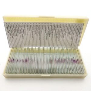 50Pcs/Set Human Pathology Slides Set Pathology Histology Prepared Microscope Slides