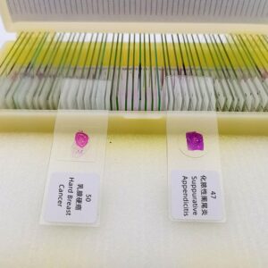 50Pcs/Set Human Pathology Slides Set Pathology Histology Prepared Microscope Slides