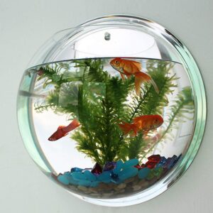 fish tank wall hanging aquarium round acrylic pot plant wall mounted bowl aquarium home decoration aquatic pet supplies fish tank 19.5cm