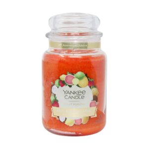 yankee candle fruit fusion large jar