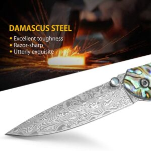 NedFoss Pocket Knife, Damascus Pocket Knife with Abalone Shell Handle, Handmade Forged Damascus Steel Folding Knife with Gift Box, Excellent Gifts for Men Women