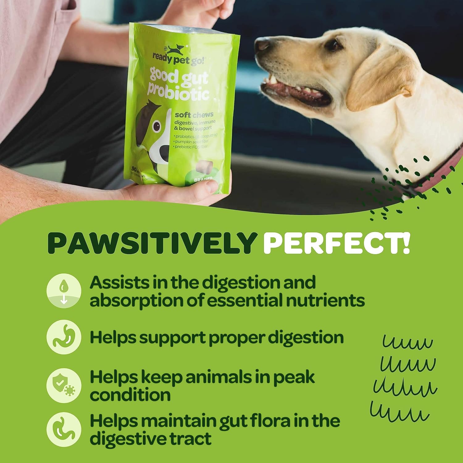 Probiotic Chews for Dogs Gut Health | Tasty Pre and Probiotics for Dogs Digestive Health with Pumpkin Dog Probiotics and Digestive Enzymes | NASC Certified & Made in The USA | 90 Chews