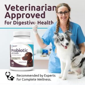 K9 Select Probiotic for Dogs, with Inulin - 90 Chewable Tablets - Supports Healthy Digestion and Nutrient Absorption - Dog Probiotics and Digestive Enzymes - Probiotics for Dogs Digestive Health