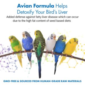 Avian Milk Thistle + Dandelion Root Dietary Supplement for Parrots, All-Natural Liver Formula (120 Servings)