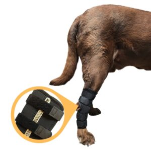 labra supportive dog rear leg hock joint wrap brace with metal springs protects canine wounds as they heal compression brace heals and prevents injuries and sprains helps arthritis (medium)