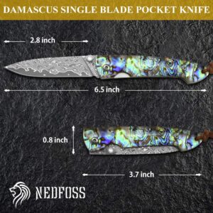 NedFoss Pocket Knife, Damascus Pocket Knife with Abalone Shell Handle, Handmade Forged Damascus Steel Folding Knife with Gift Box, Excellent Gifts for Men Women