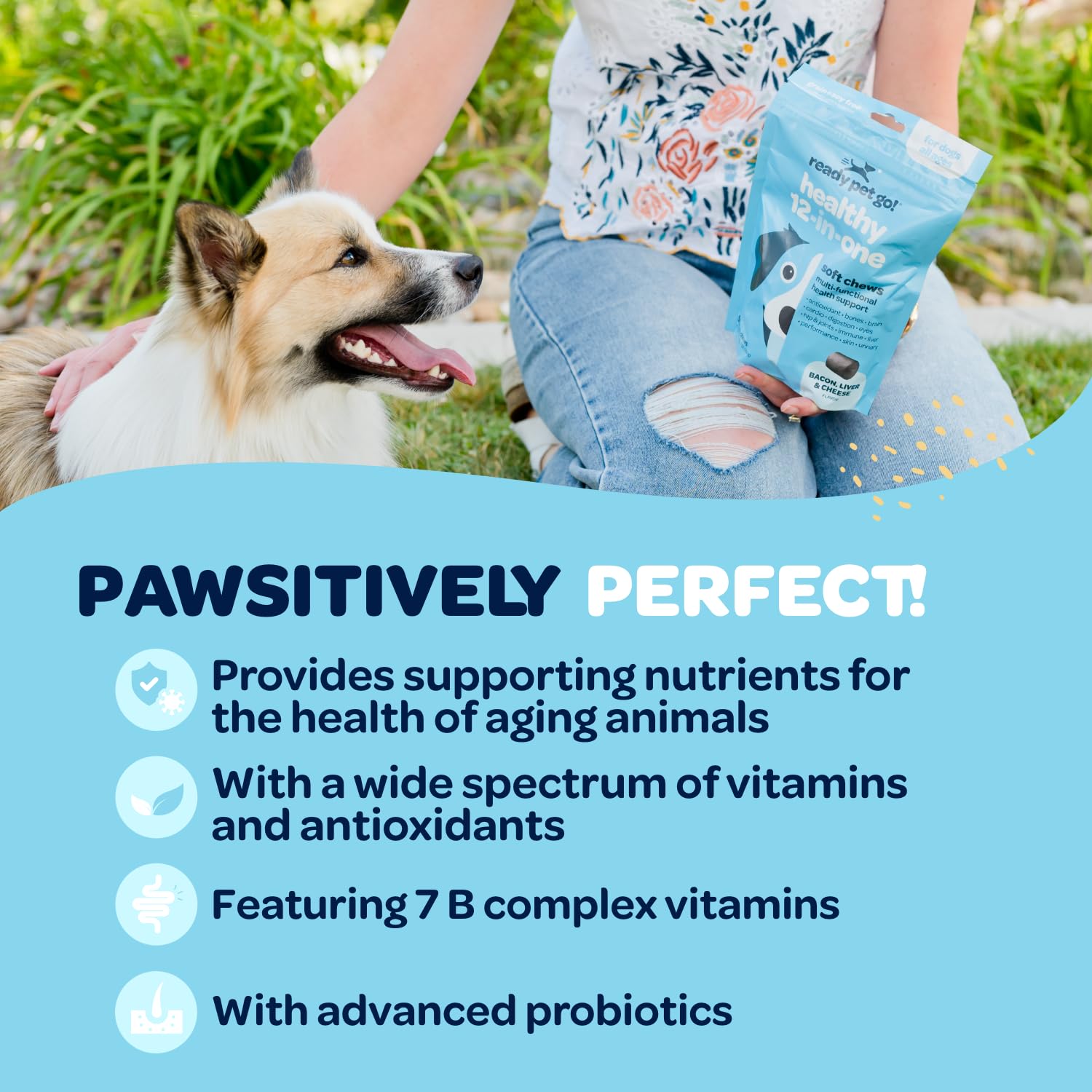 12-in-1 Complete Multivitamin for Dogs | Dog Multivitamin Chewable with Glucosamine Chondroitin & Digestive Probiotics for Dogs of All Ages and Sizes | NASC Certified & Made in The USA | 90 Chews