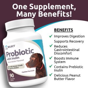 K9 Select Probiotic for Dogs, with Inulin - 90 Chewable Tablets - Supports Healthy Digestion and Nutrient Absorption - Dog Probiotics and Digestive Enzymes - Probiotics for Dogs Digestive Health