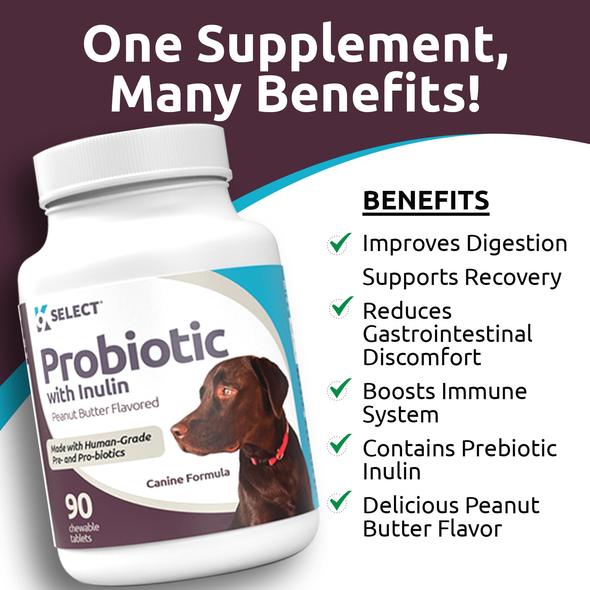 K9 Select Probiotic for Dogs, with Inulin - 90 Chewable Tablets - Supports Healthy Digestion and Nutrient Absorption - Dog Probiotics and Digestive Enzymes - Probiotics for Dogs Digestive Health