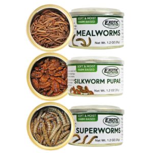 canned insect assortment (3 pack) - healthy high-protein treat - sugar gliders, hedgehogs, skunks, squirrels, wild birds, opossums, turtles, tropical fish, reptiles, amphibians & other small pets