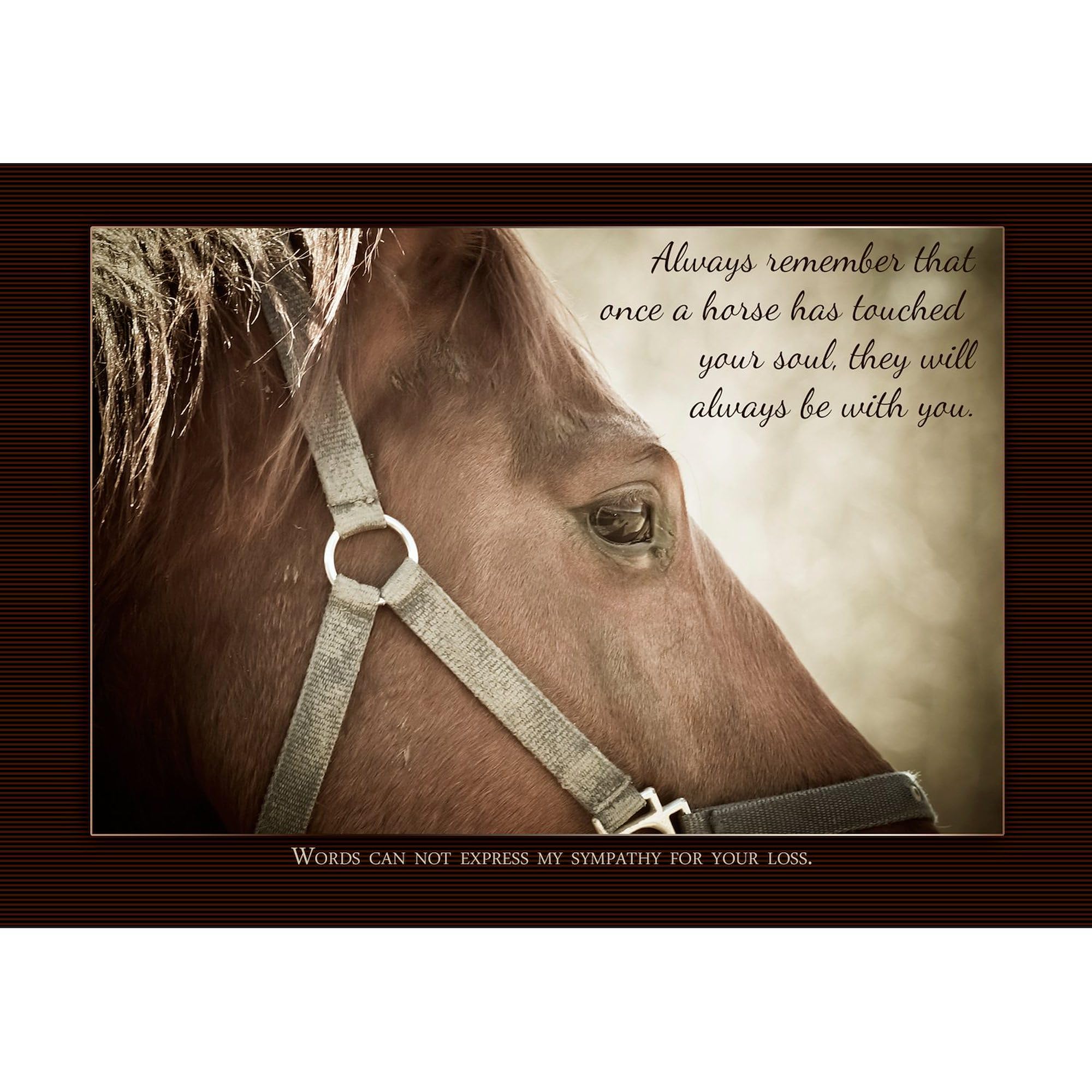 CafePress Horse Sympathy With Nice Words Card Greeting Cards Folded Greeting Card Glossy