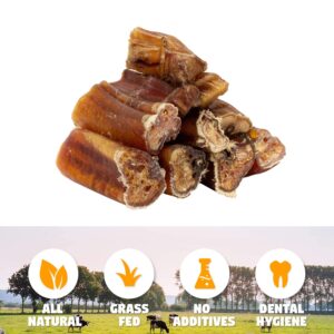 Downtown Pet Supply 2 LB, 2-3" Bites, Rawhide Free Dog Chews Long Lasting and Non-Splintering - Single Ingredient, All Natural Dog Treats for Small Dogs and Puppies - Grass-Fed Beef Bully Sticks