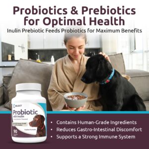 K9 Select Probiotic for Dogs, with Inulin - 90 Chewable Tablets - Supports Healthy Digestion and Nutrient Absorption - Dog Probiotics and Digestive Enzymes - Probiotics for Dogs Digestive Health