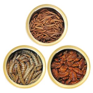 Canned Insect Assortment (3 Pack) - Healthy High-Protein Treat - Sugar Gliders, Hedgehogs, Skunks, Squirrels, Wild Birds, Opossums, Turtles, Tropical fish, Reptiles, Amphibians & Other Small Pets