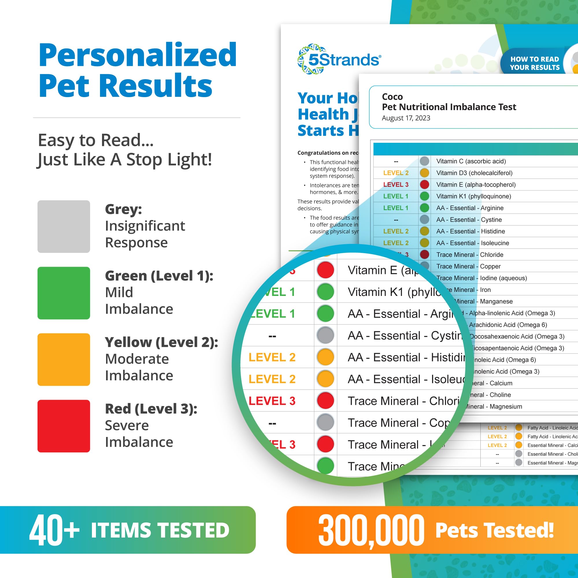 5Strands Pet Nutrition Deficiency Test, 44 Vitamins and Minerals Tested, at Home Dog or Cat Hair Sample Collection Kit, Results in 7 Days, Works for All Ages and Breeds