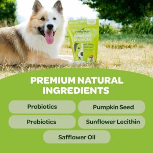 Probiotic Chews for Dogs Gut Health | Tasty Pre and Probiotics for Dogs Digestive Health with Pumpkin Dog Probiotics and Digestive Enzymes | NASC Certified & Made in The USA | 90 Chews