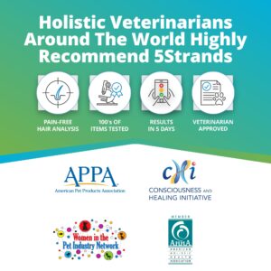 5Strands Pet Food Intolerance Test, at Home Sensitivity Test for Dogs & Cats, 289 Items, Hair Analysis, Accurate for All Ages and Breed, Results in 5 Days - Protein, Grain, Preservatives