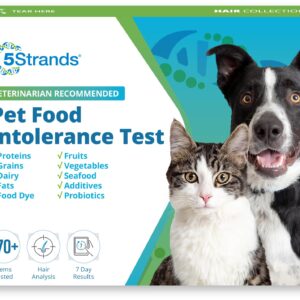 5Strands Pet Food Intolerance Test, at Home Sensitivity Test for Dogs & Cats, 289 Items, Hair Analysis, Accurate for All Ages and Breed, Results in 5 Days - Protein, Grain, Preservatives